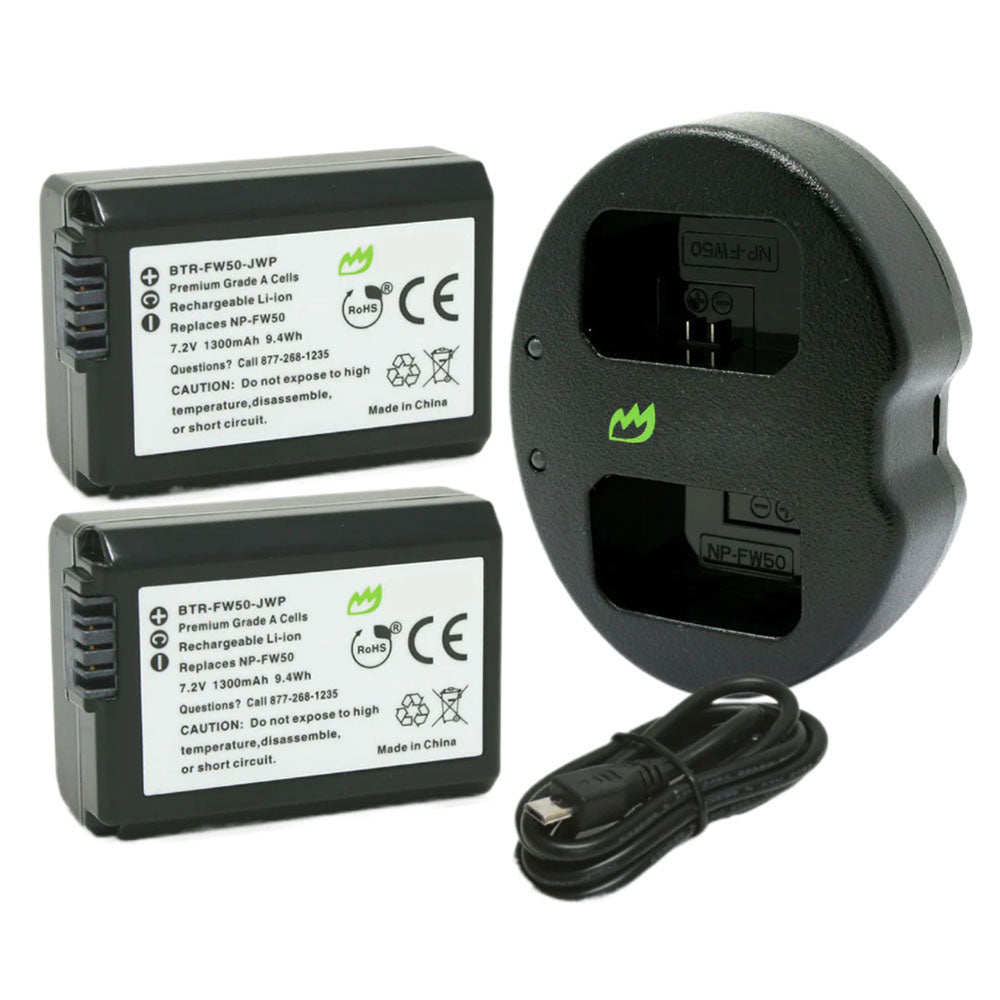 (2-Pack) Sony Alpha ILCE-6100 Battery 1300mAh & Dual Charger ...