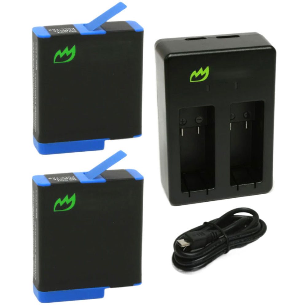 (2-Pack) GoPro HERO5 Black Battery 1220mAh & Dual USB-C Charger ...
